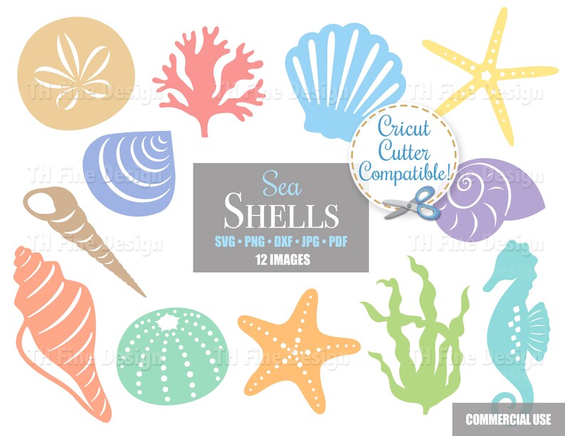 SVG Sea Shells Ocean Seahorse Starfish Sand Dollar Seaweed - Etsy
