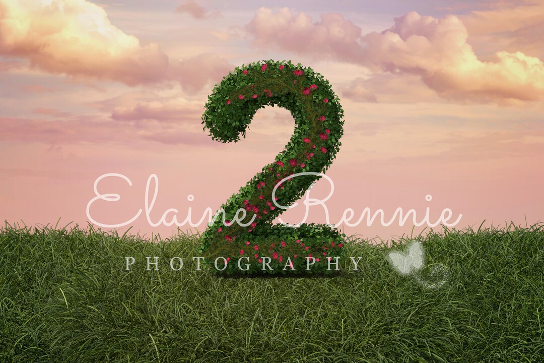 Birthday Number 2 Digital Background - Etsy