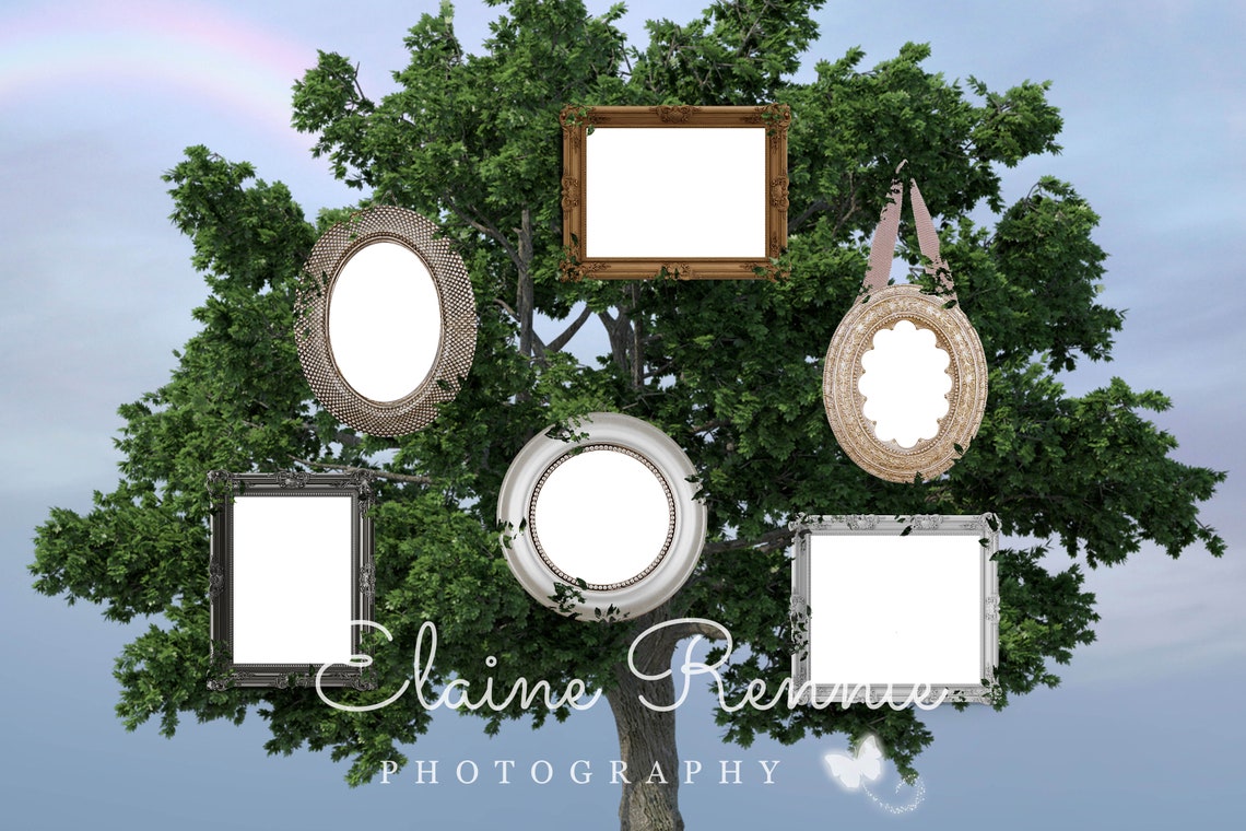 Family Tree Digital Background Family Composite Digital - Etsy