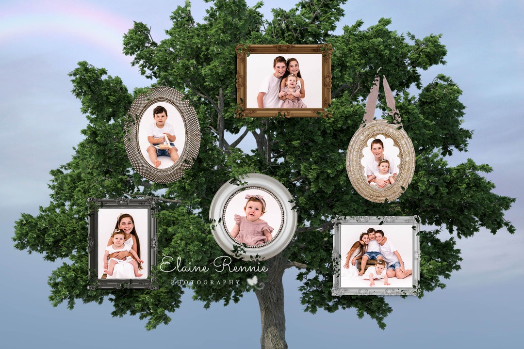 Family Tree Digital Background, Family Composite, Digital Backdrop ...