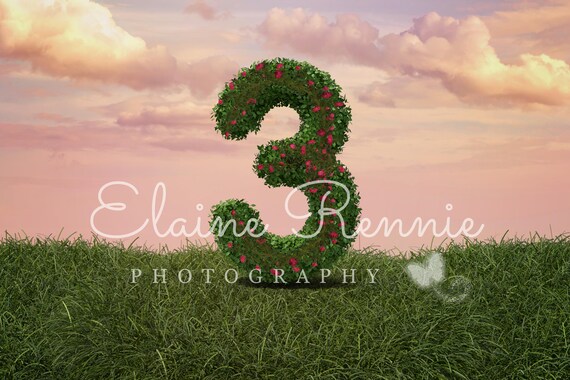 Birthday Number 3 Digital Background Three Digital Backdrop - Etsy