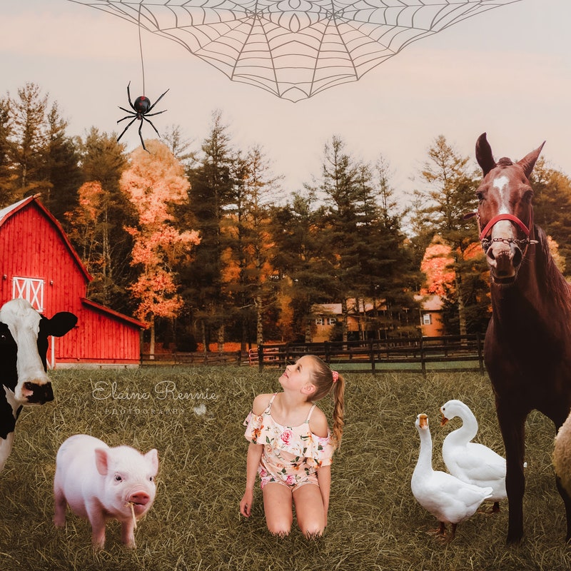 Charlottes Web - Etsy