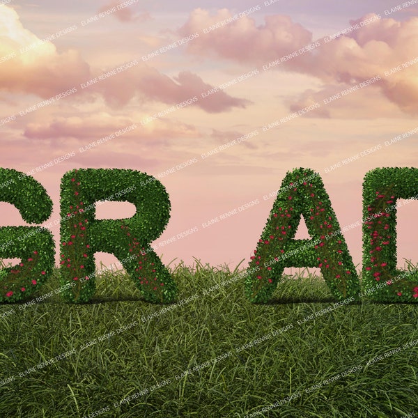 Graduation Backdrop 2020 - Etsy