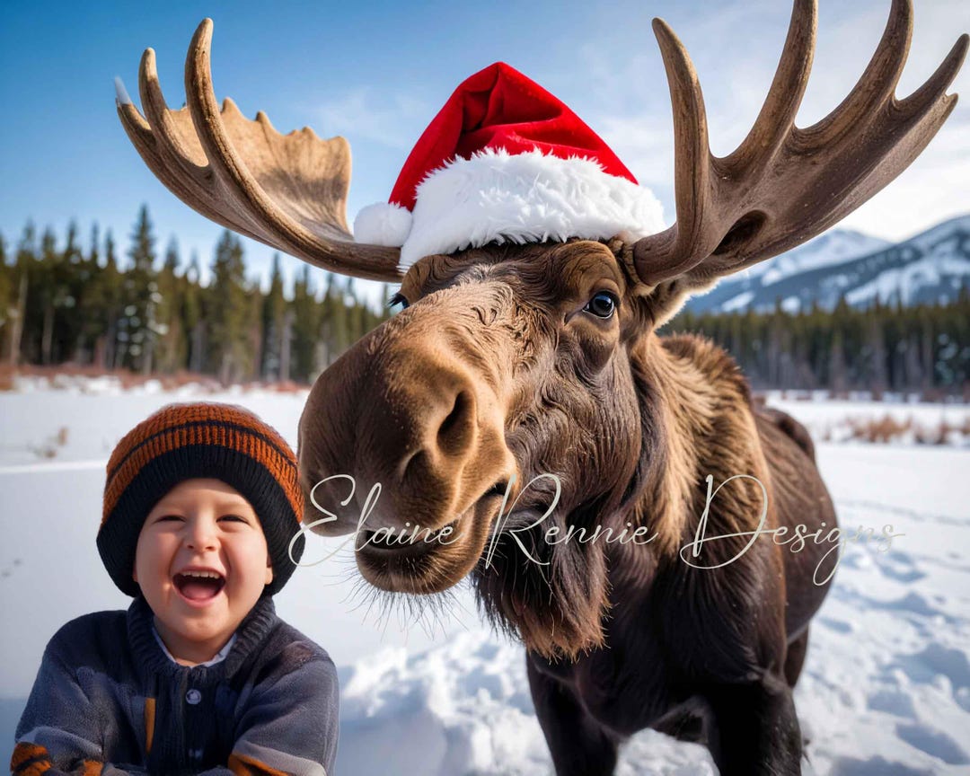 Christmas Moose Selfie Digital Backgrounds, Funny Digital Backdrop for ...