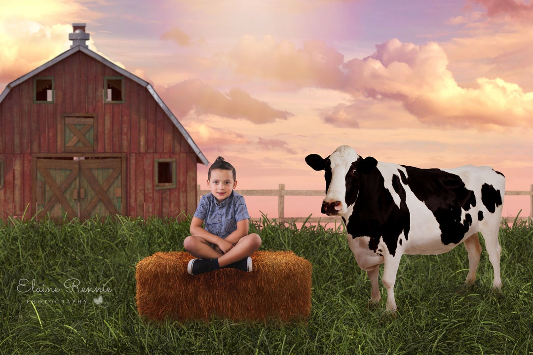 Cow and Barn Digital Background, Cow Digital Backdrop, Farm Animals ...