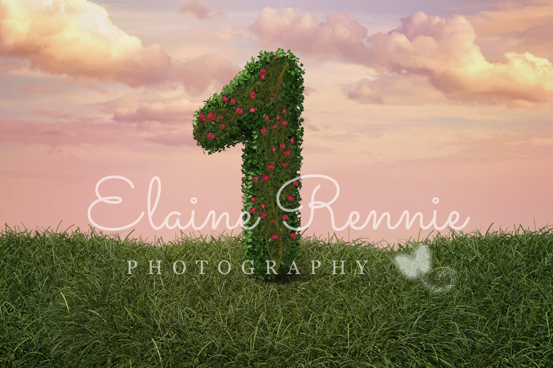 Birthday Number 1 Digital Background, One Digital Backdrop, Composite ...