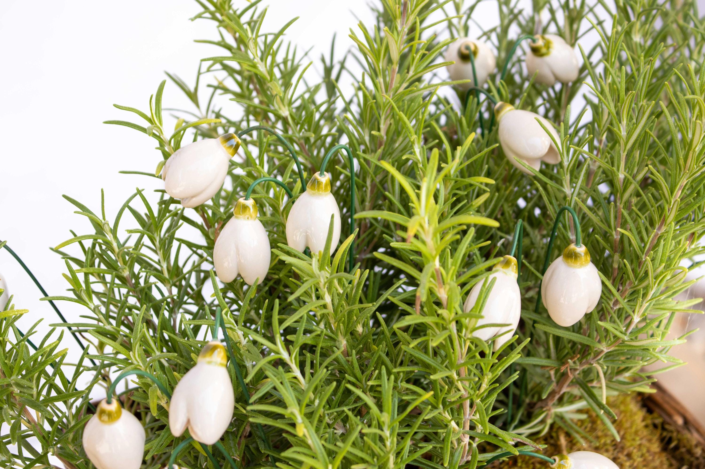 Ceramic Snowdrop 7 Pcs. - Decorative, Unique Ceramic Flower for Home ...