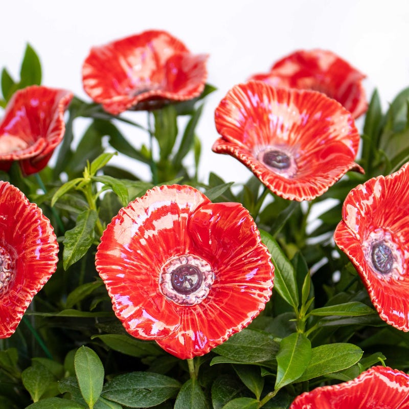 Ceramic Poppy - Etsy