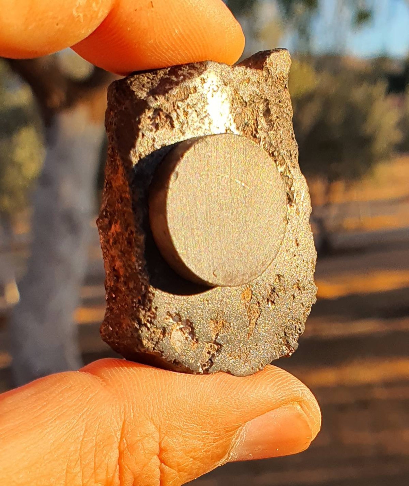 Iron Polished Meteorite Nwa 45g C147 | Etsy