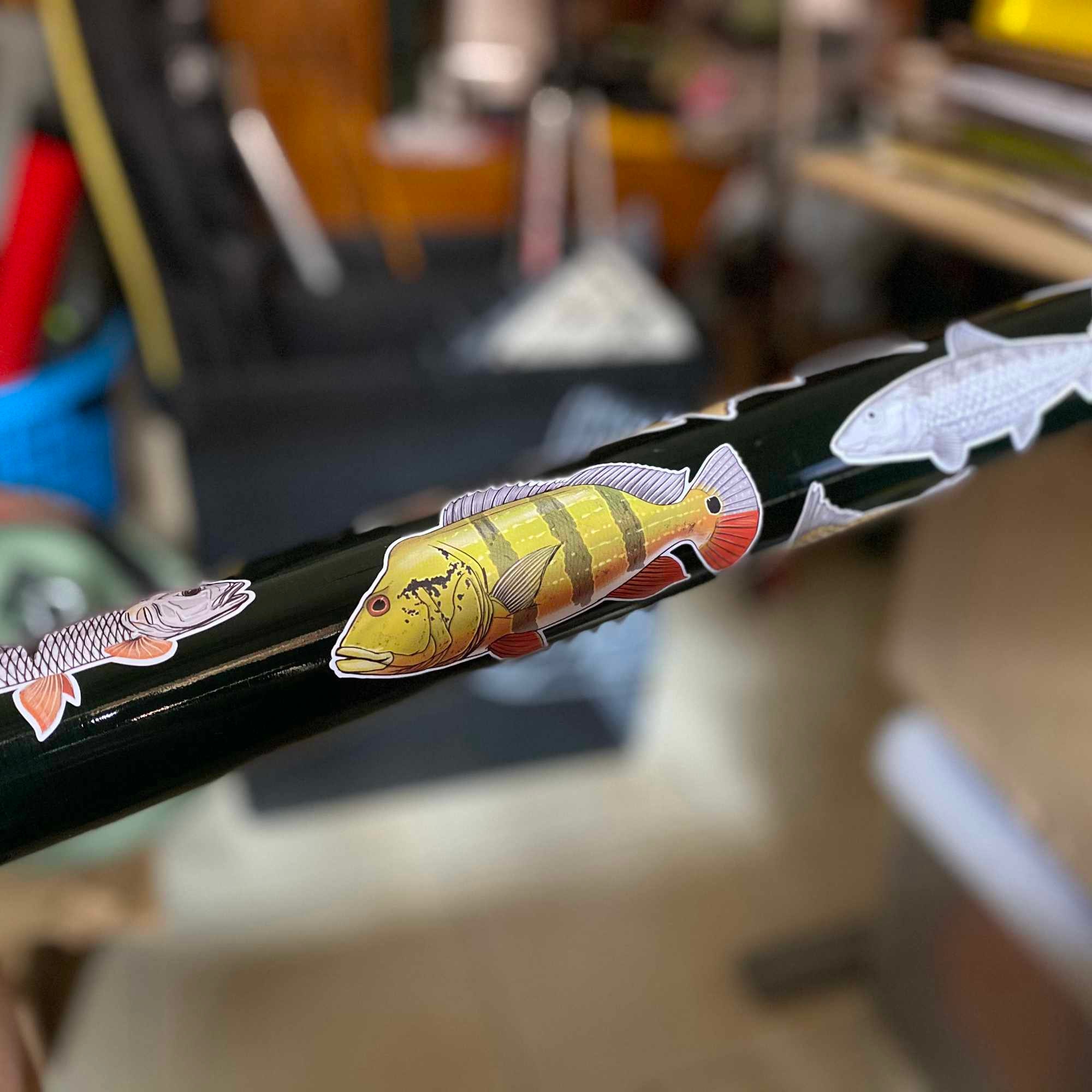 Peacock Bass Stickers (3 Pieces), Waterproof Fish Decal, Tucunare ...