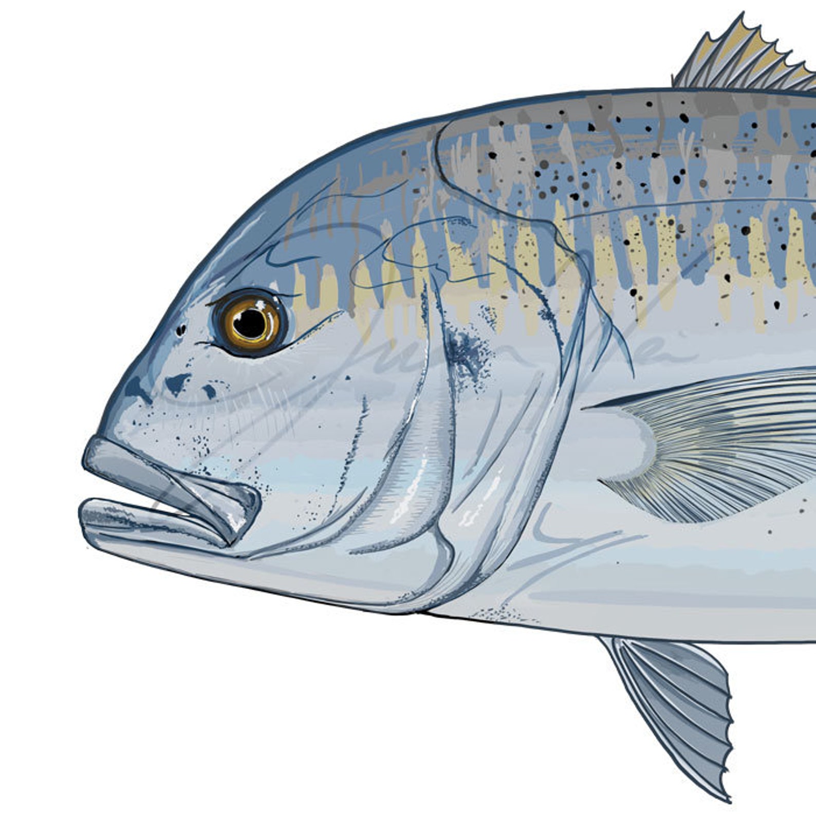 Giant Trevally Fishing Stickers 2-piece, GT Fish Art - Etsy Hong Kong