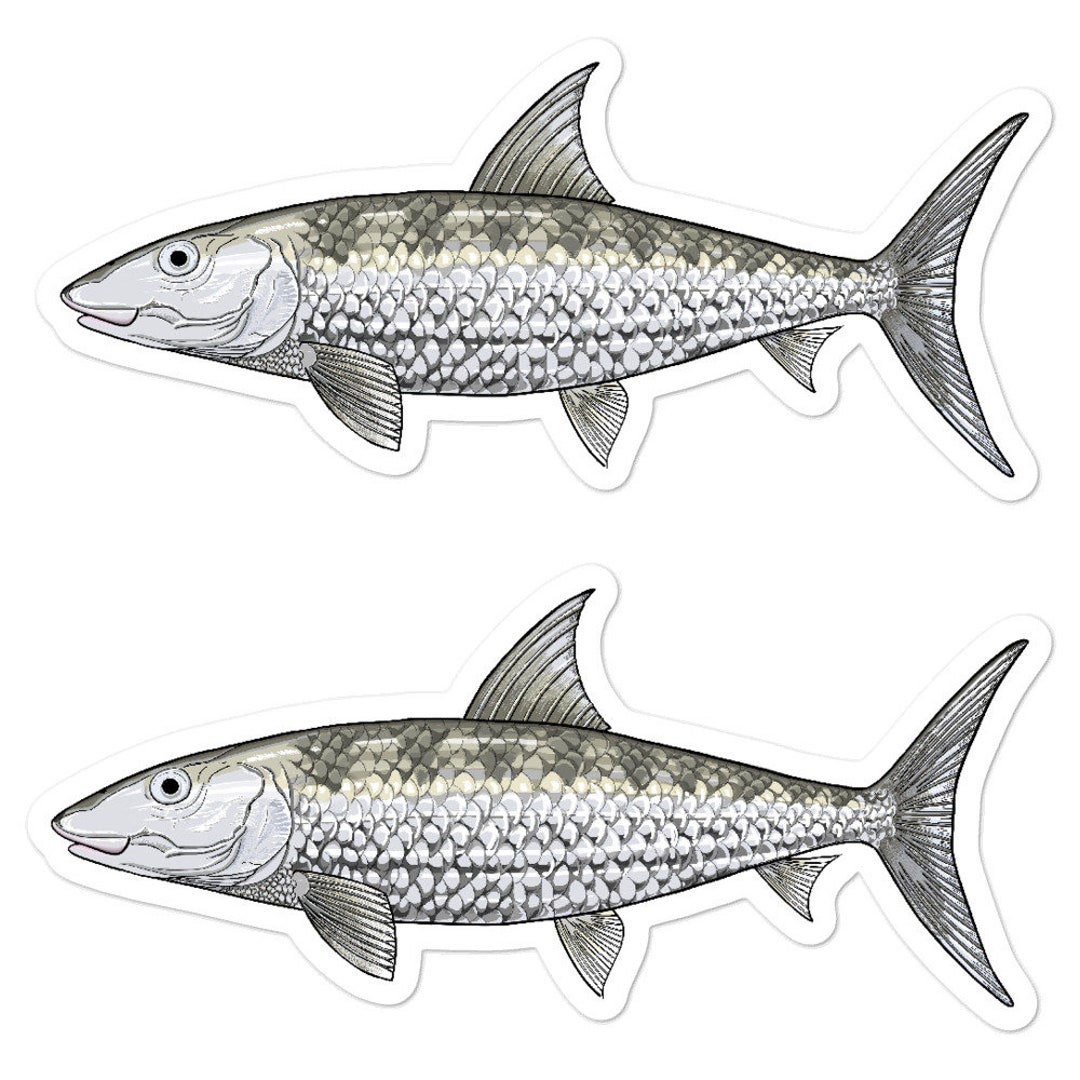 Bonefish Decals | Fish Sticker Vinyl Waterproof (2-piece Pack) - Etsy