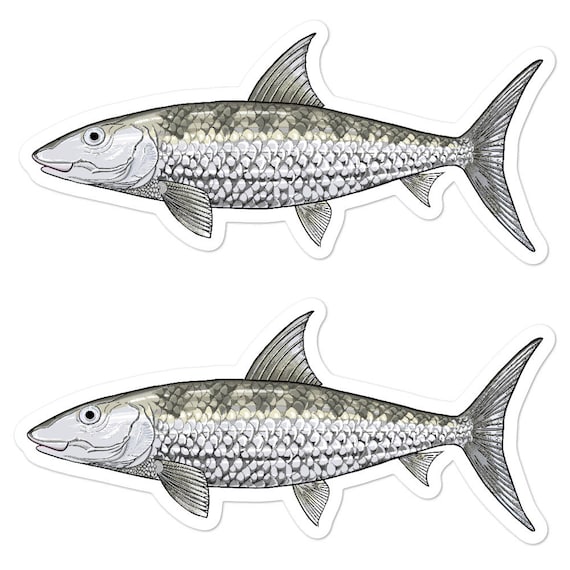 Bonefish Decals Fish Sticker Vinyl Waterproof 2-piece Pack - Etsy
