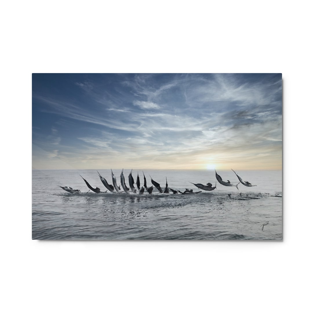 Sailfish Tail Walking Metal Print, Billfish Fishing Wall Poster - Etsy