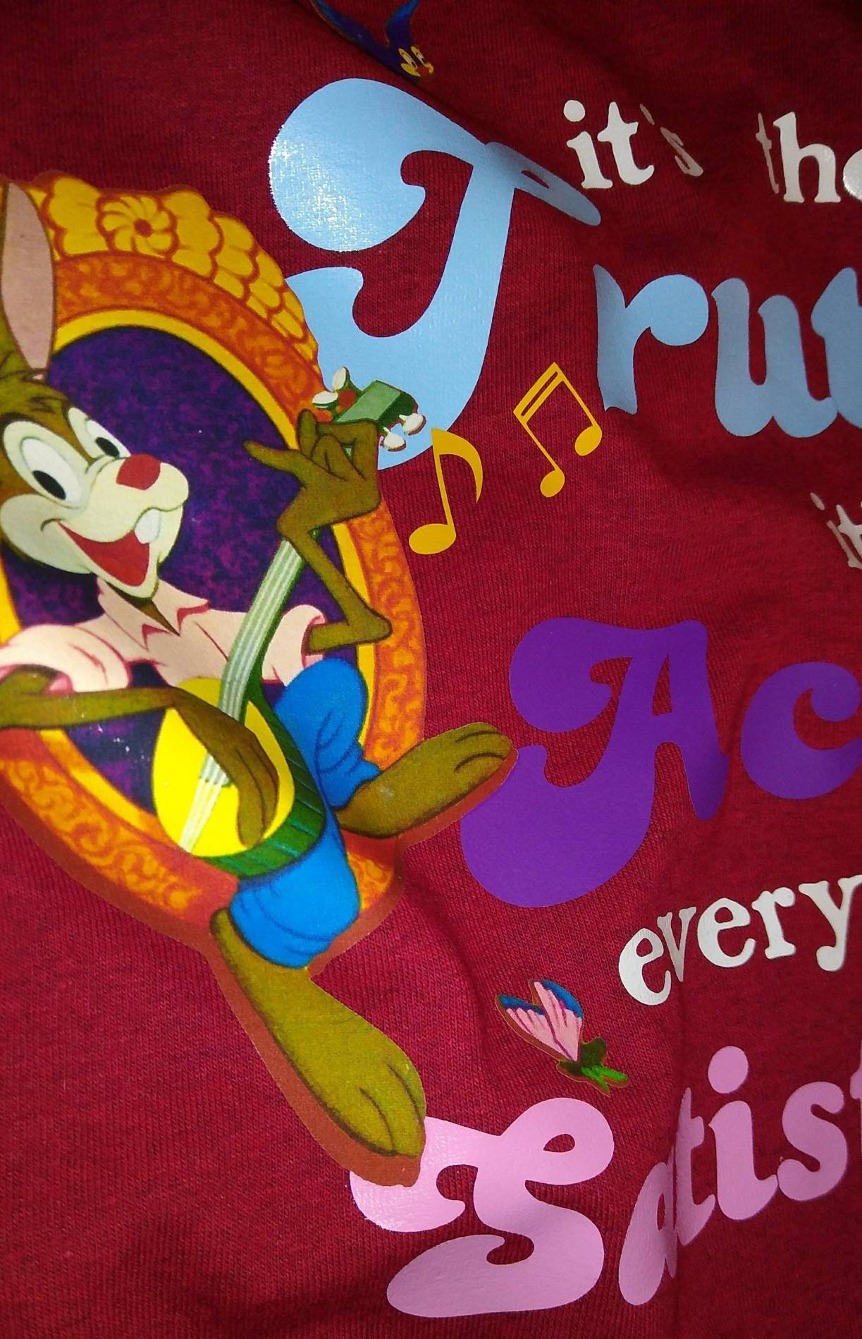 Disney World Splash Mountain Brer Rabbit T-shirt, Unisex Men Women - Etsy