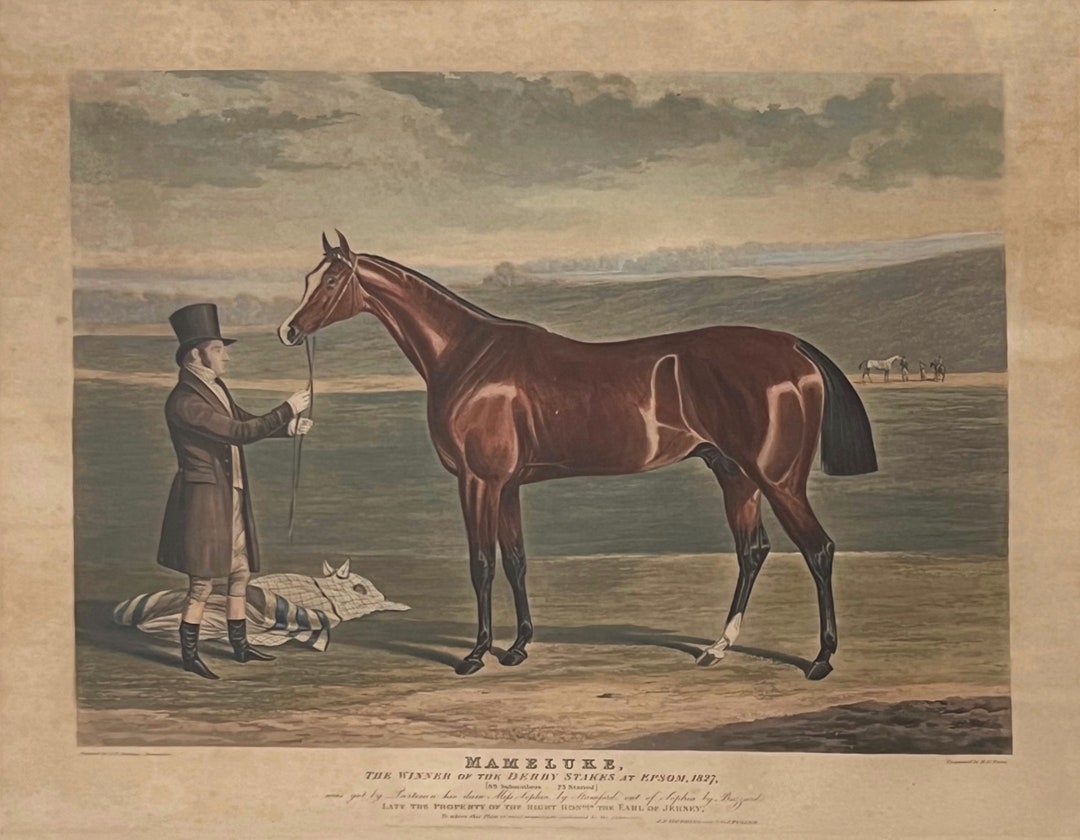 Antique Aquatint "mameluke", Winner of Derby 1827, by R.G. Reeve After ...