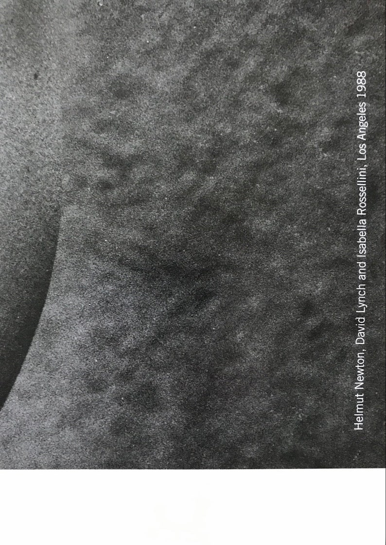 Helmut Newton, David Lynch, Isabella Rossellini, Exhibition Poster - Etsy