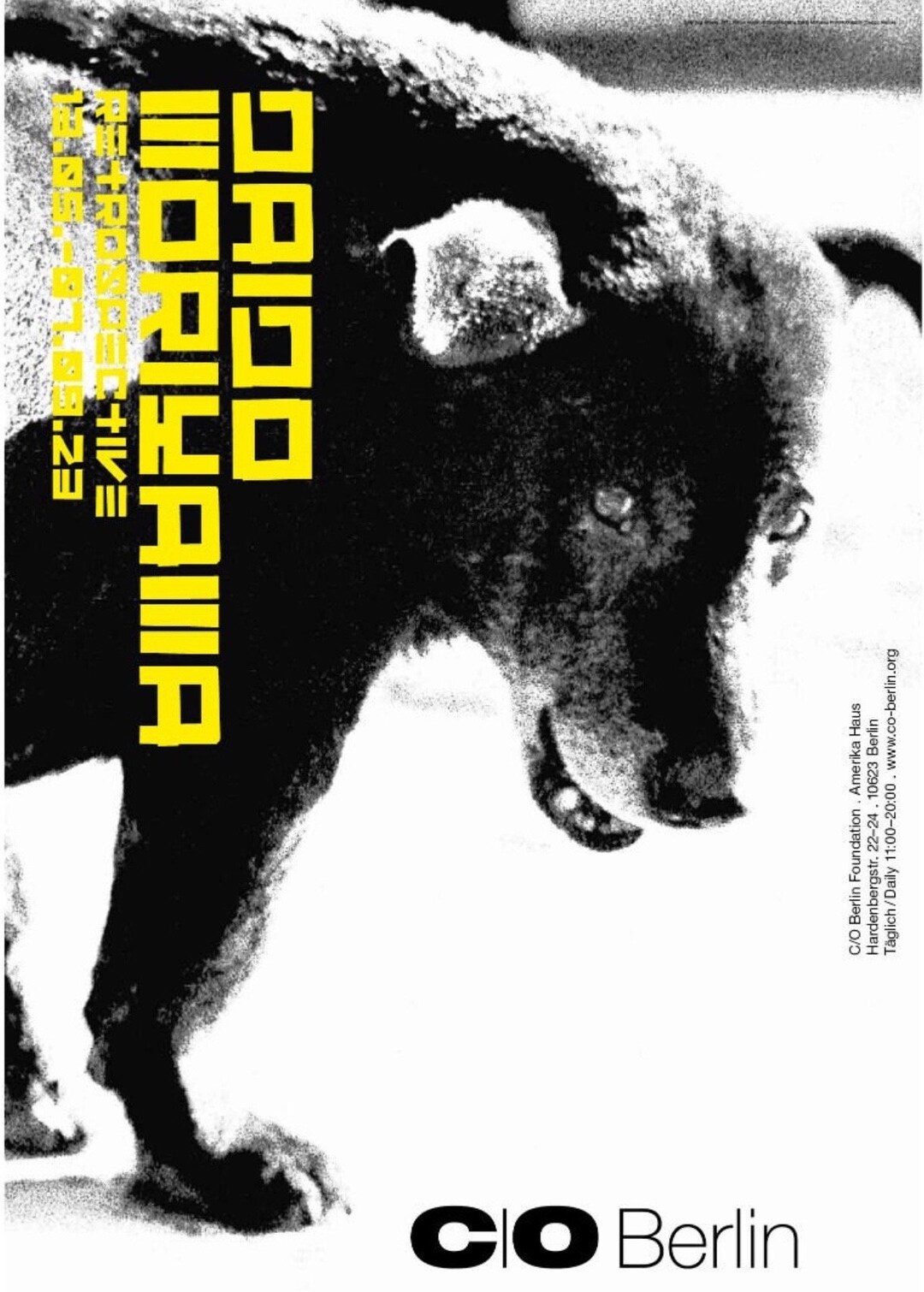 Daido Moriyama - "stray Dog" Original Exhibition Museum Poster - Etsy