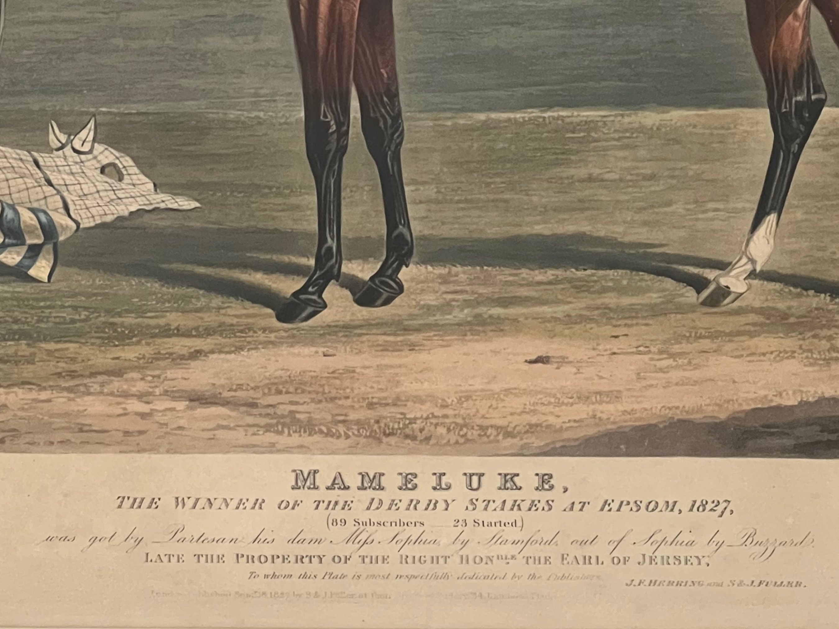 John Frederick Herring. Mameluke. Hand Colored Aquatint Plate by R.G ...