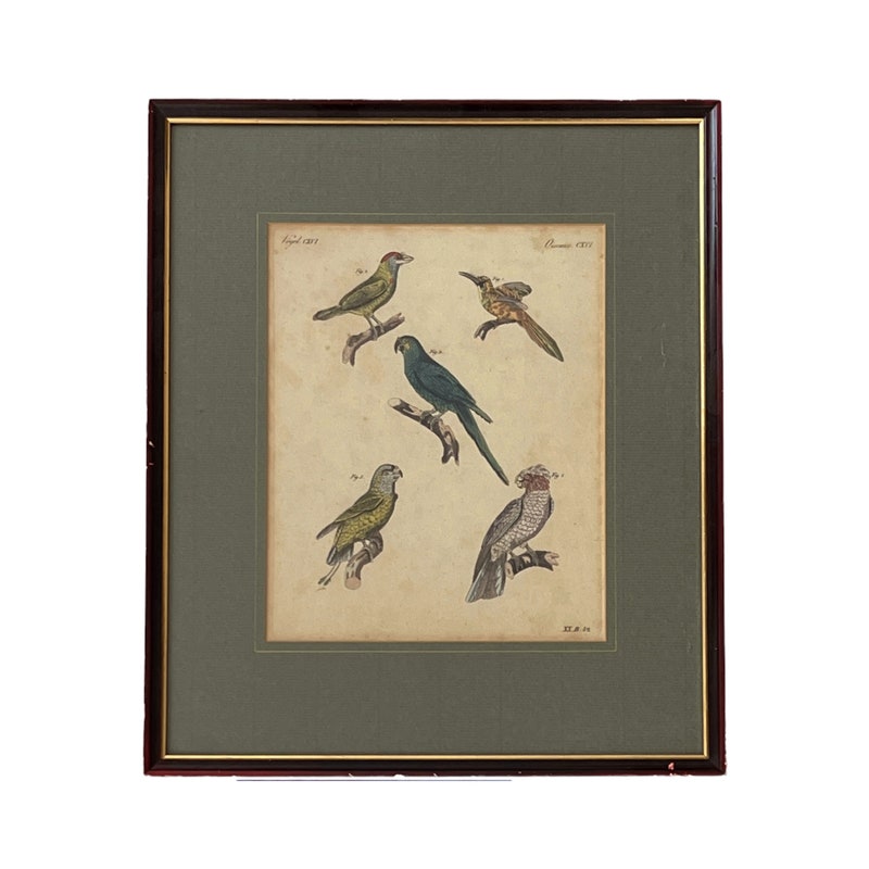 Bird Engraving - Etsy