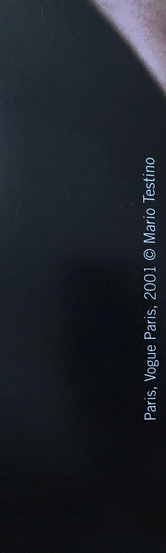 Mario Testino, Original Exhibition Museum Poster. - Etsy