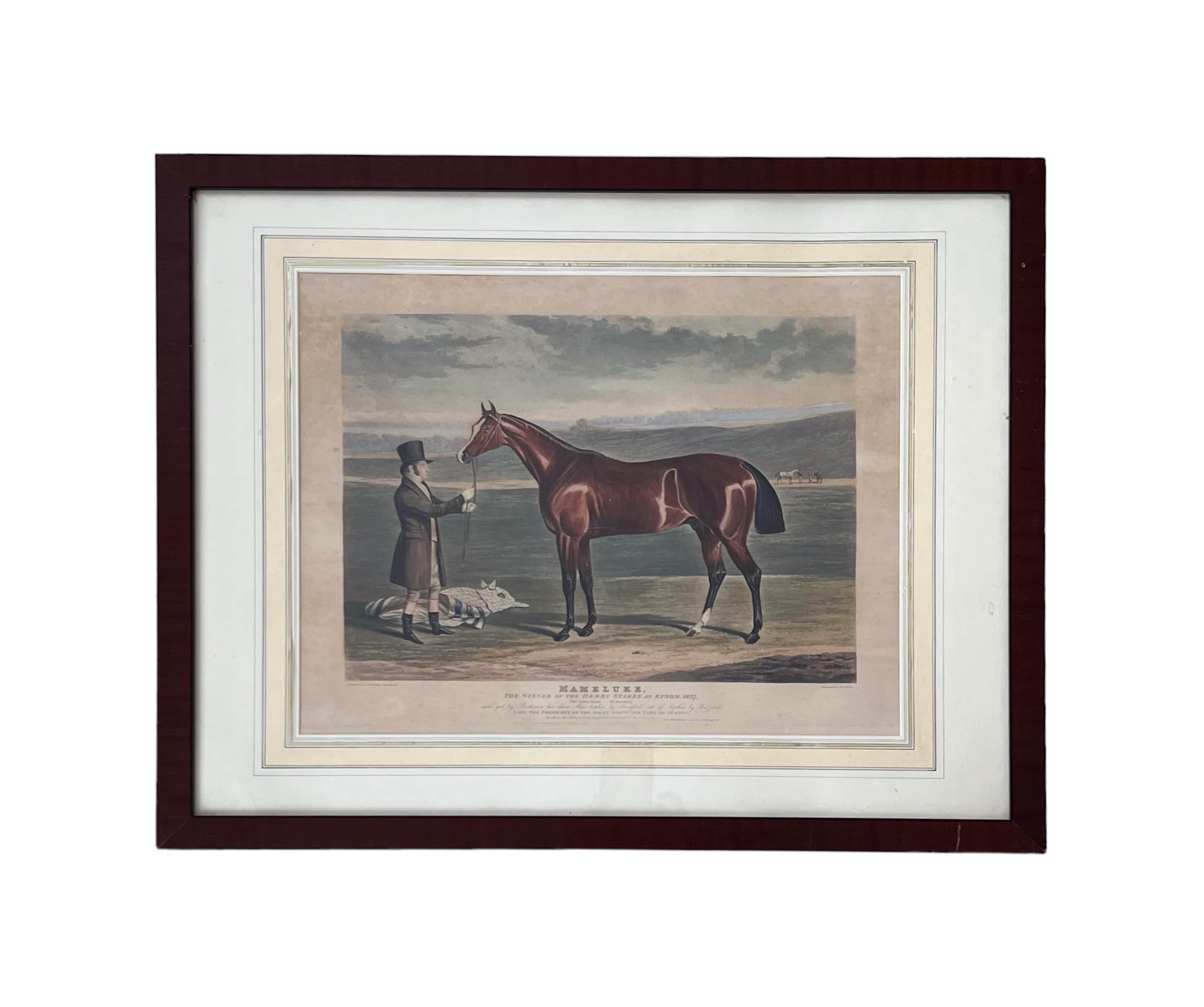 John Frederick Herring. Mameluke. Hand Colored Aquatint Plate by R.G ...