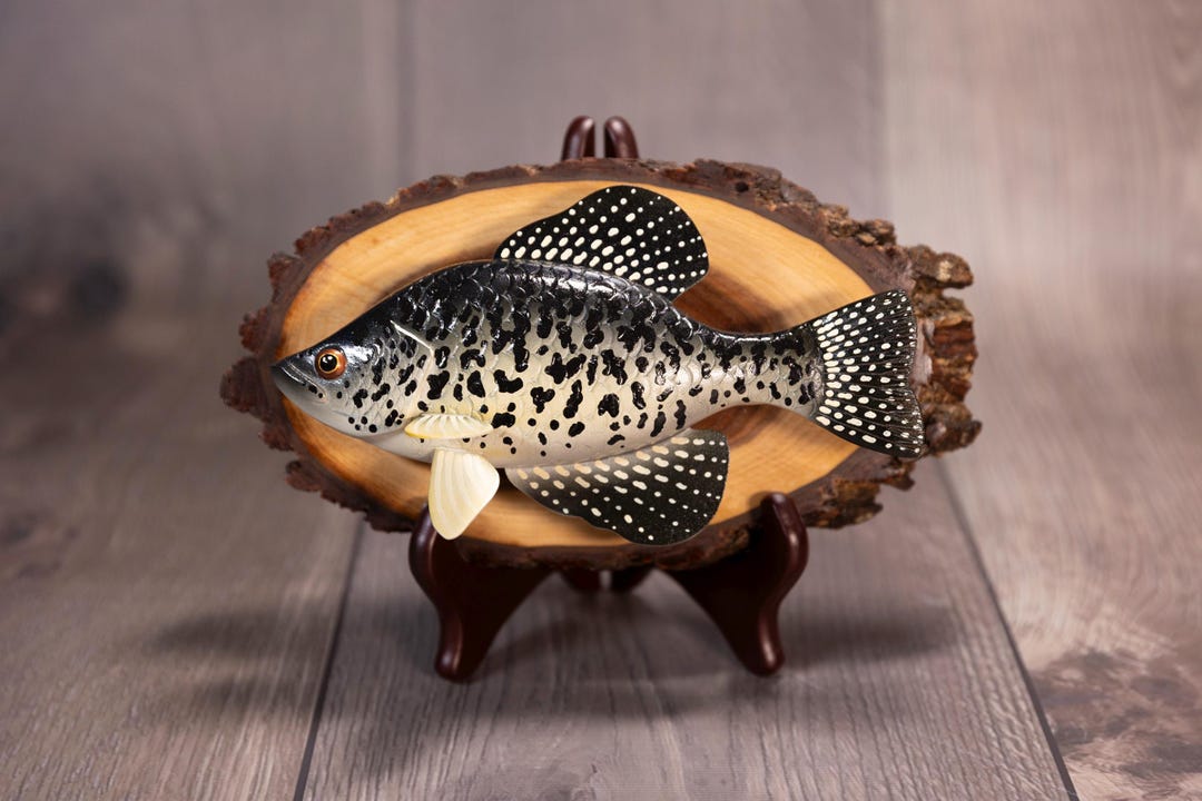 Crappie Plaque Collectible Handmade Wood Carved Fish Plaque by Ryan ...