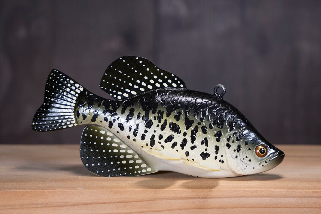 Black Crappie Fish Decoy — Collectible Handmade by Ryan Ebert - Etsy