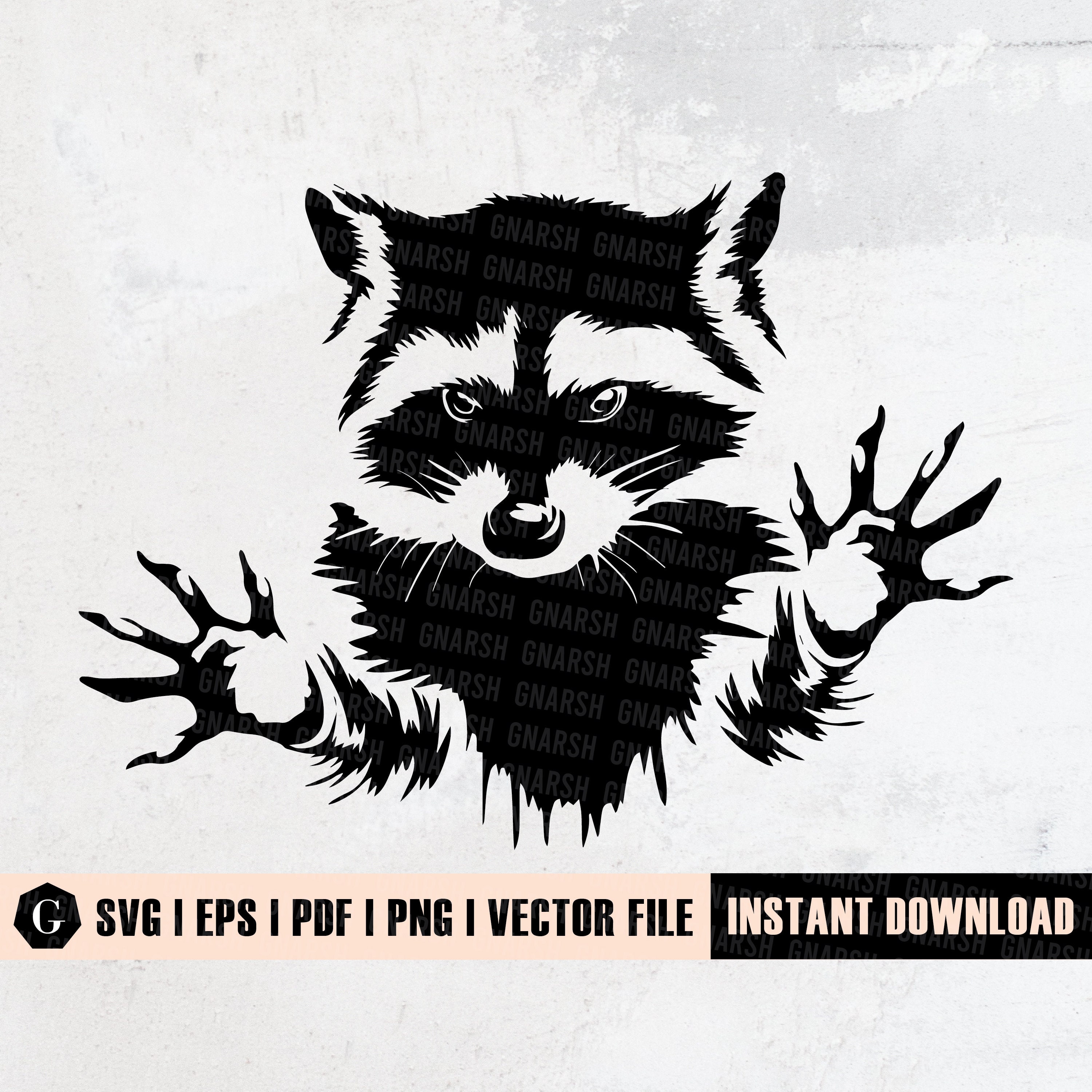 Raccoon Svg Raccoon Png Animals Svg Wild Animals Svg - Etsy