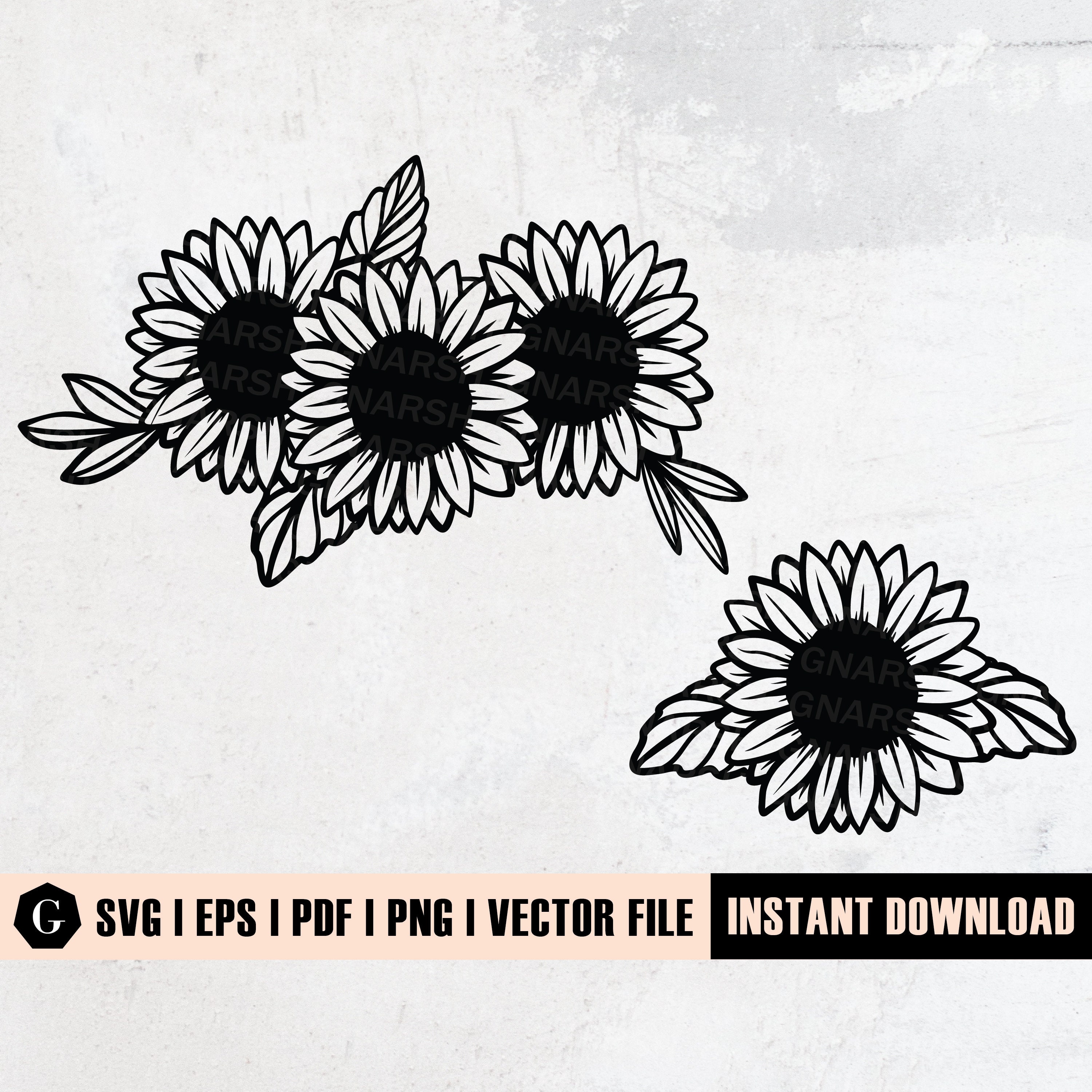 Sunflowers Outline Svg File Sunflowers Png Sunflowers Svg Sunflower ...