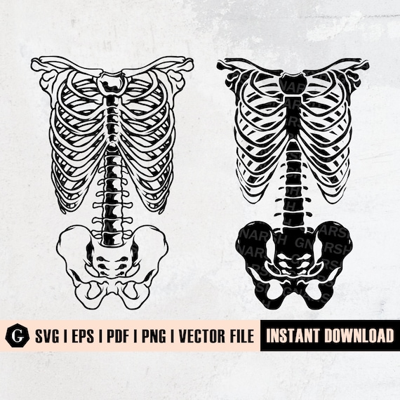 Skeleton Rib Cage SVG Ribcage Svg File Skeleton Svg | Etsy
