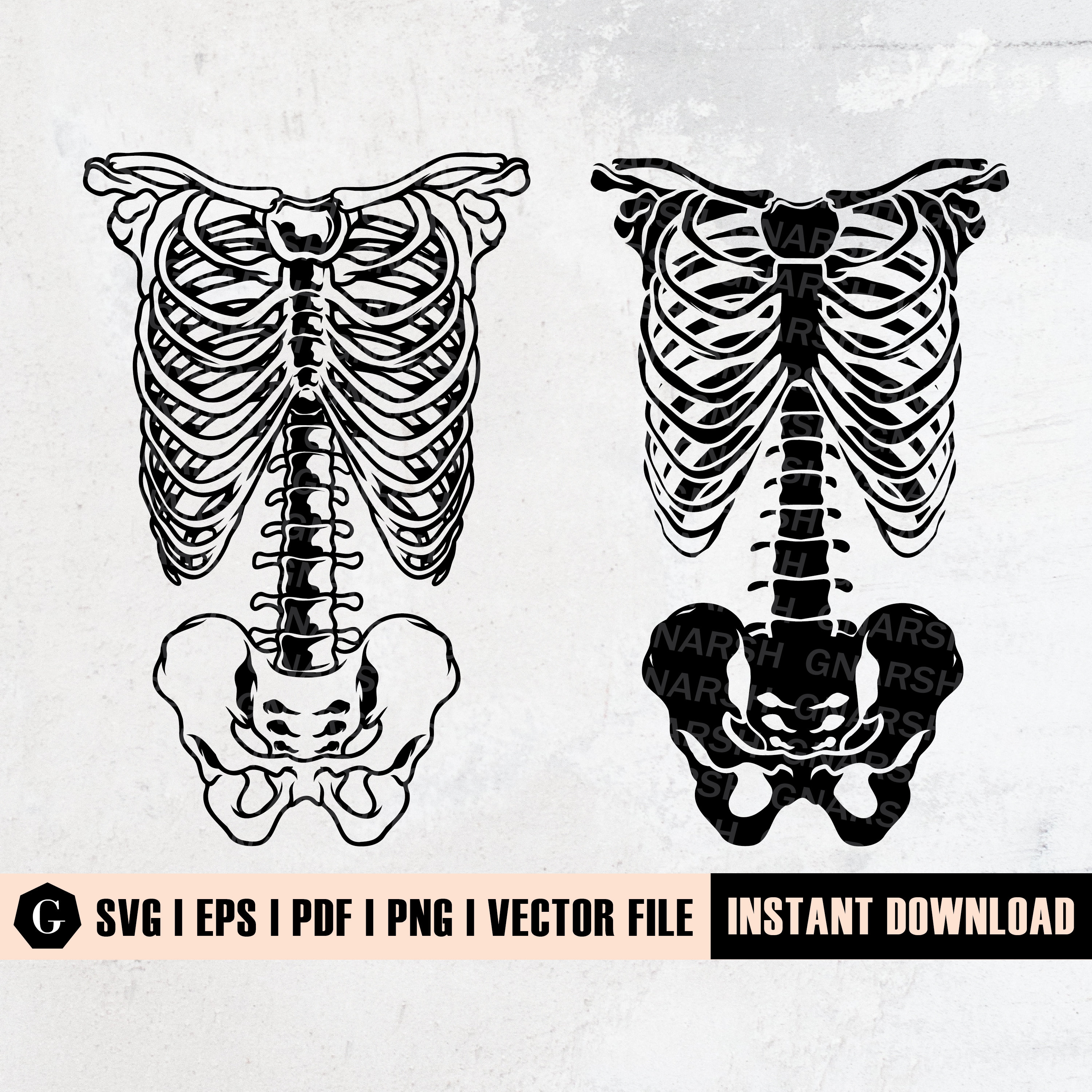 Skeleton Rib Cage SVG Ribcage Svg File Skeleton Svg - Etsy UK
