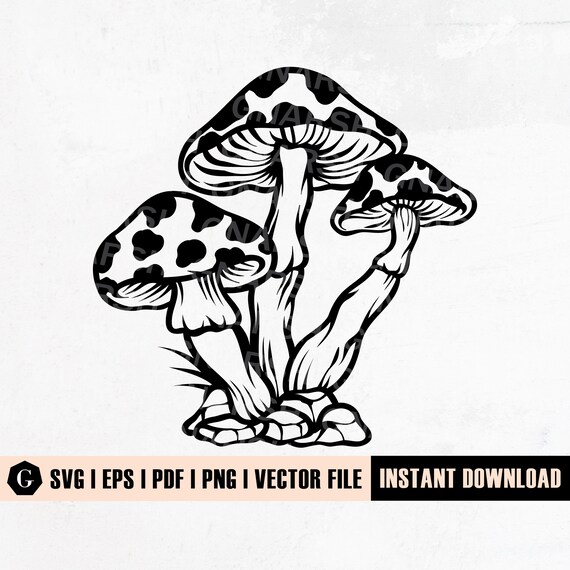 Magical Mushrooms Svg Files Mushrooms Svg Shrooms Svg | Etsy
