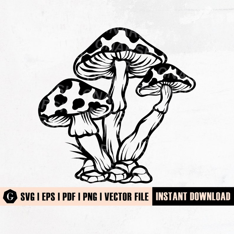 Magical Mushrooms Svg Files Mushrooms Svg Shrooms Svg - Etsy