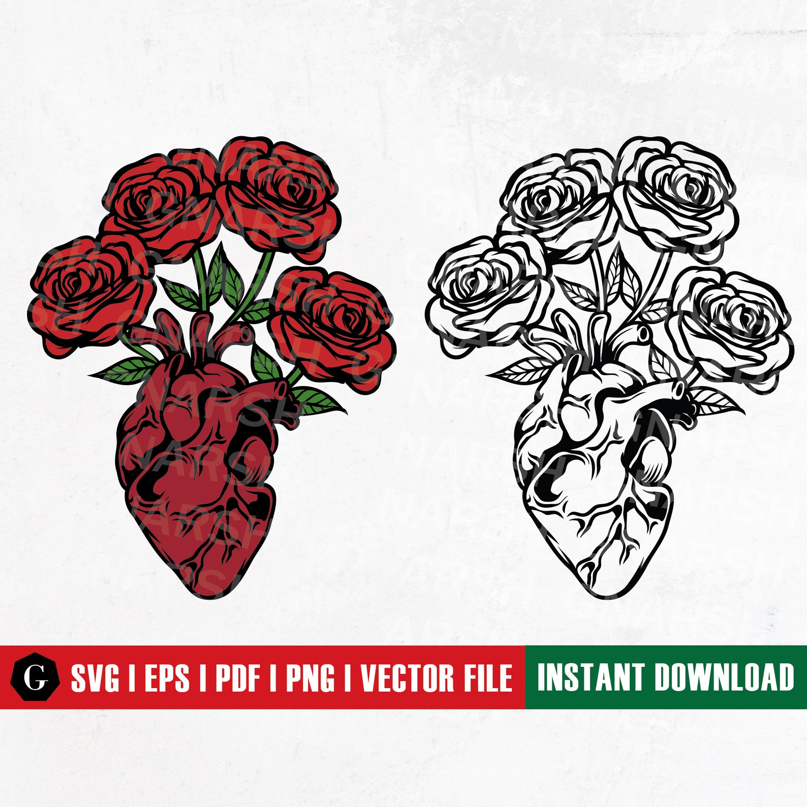 Heart Roses Svg | Rose Heart Svg | Cardiology SVG | Anatomical Heart ...