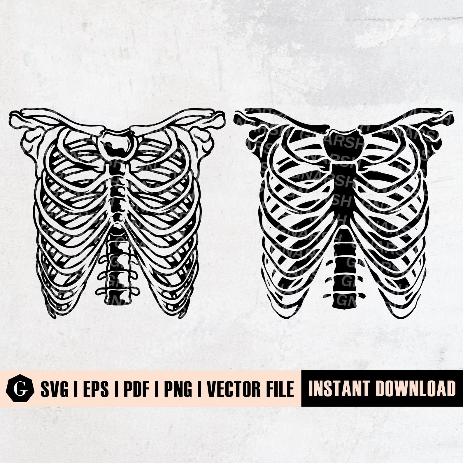 Skeleton Rib Cage SVG Ribcage Svg File Skeleton Svg Halloween Svg ...