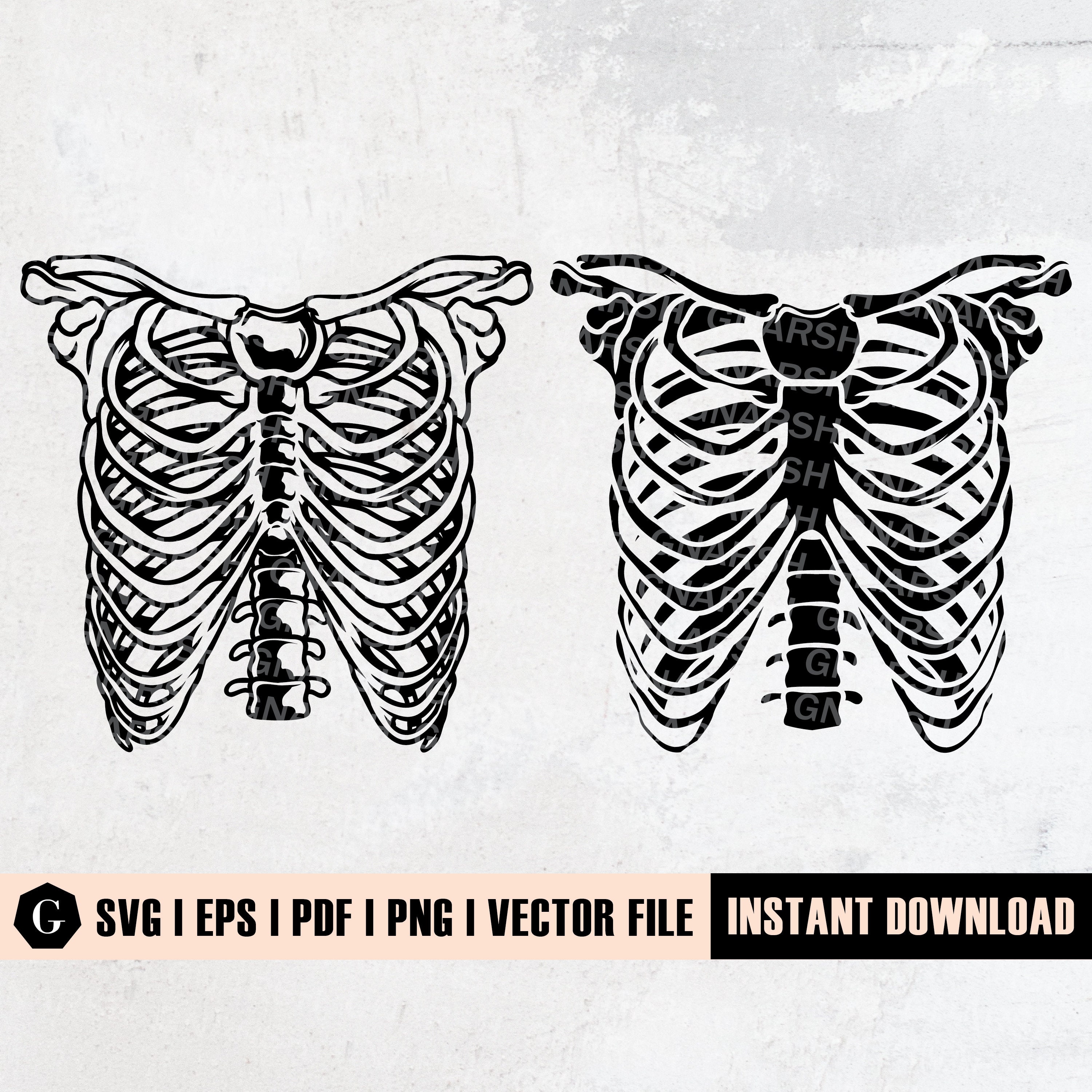 Skeleton Rib Cage SVG Ribcage Svg File Skeleton Svg - Etsy UK