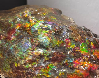 Ammolite - Etsy