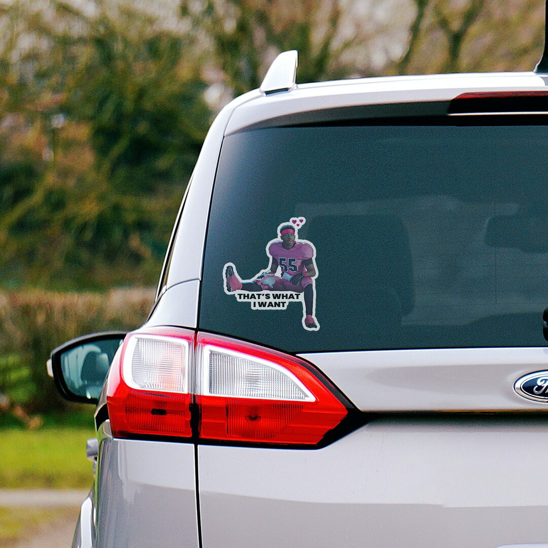 Lil Nas X THATS WHAT I WANT Sticker Vinyl Gloss Colorful - Etsy