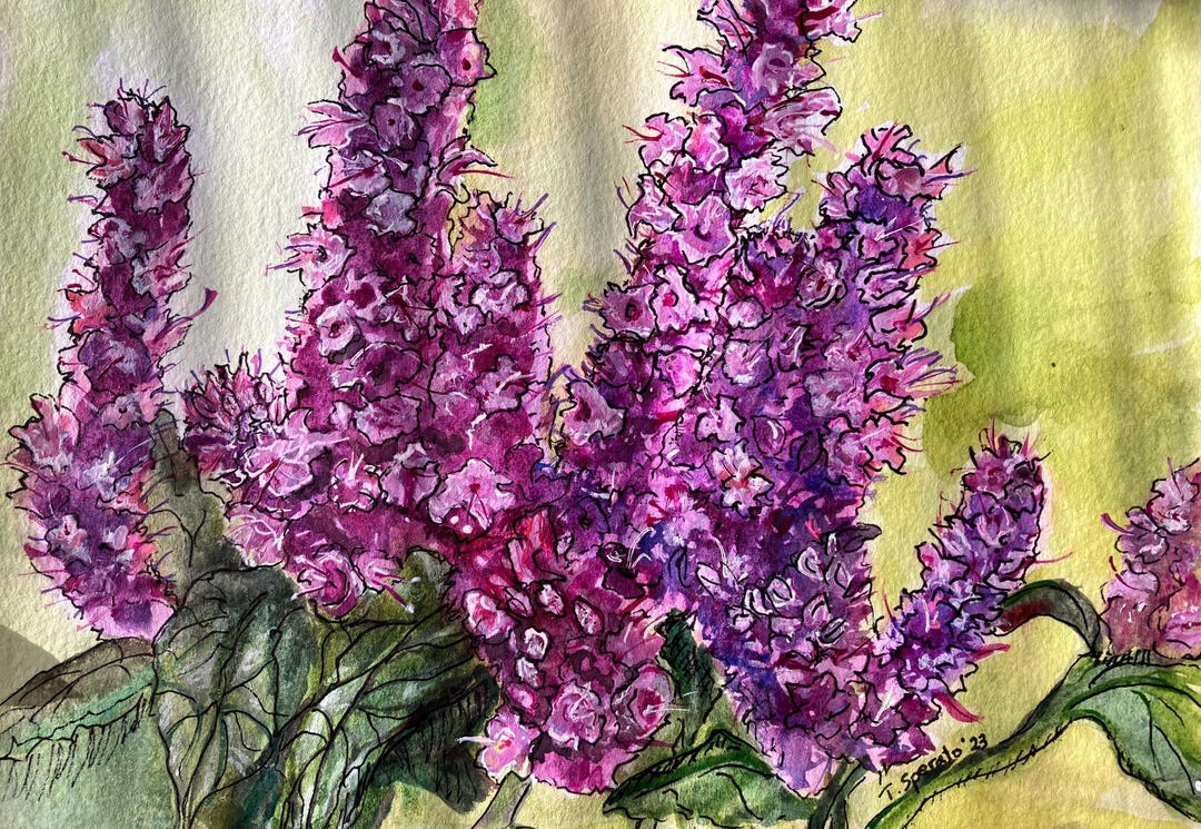 Set of 8, 6x8” POSTCARDS With Envelopes Depicting Fuschia Pink Flowers ...