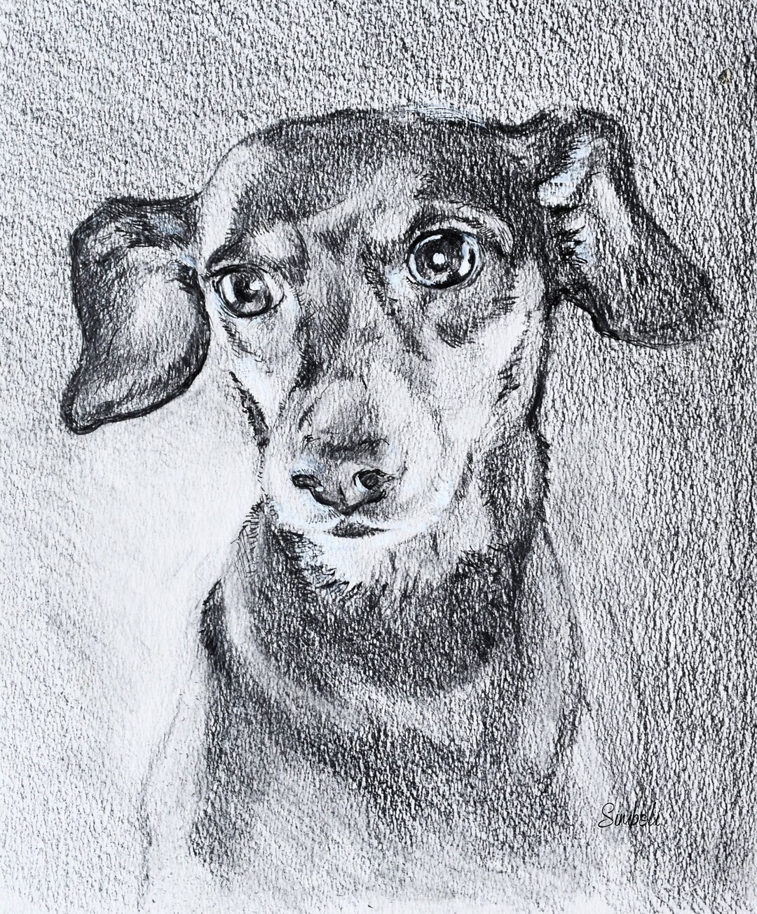Original Mini Pinscher Drawing, Original Mini Pin Drawing, German ...