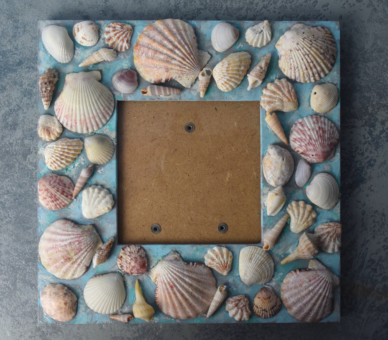 Small Seashell Frame Frame With Shells Shell Wood Rustic - Etsy