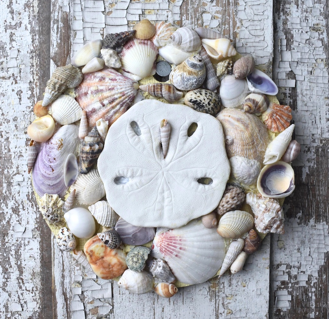 Small Seashell Wreath, Rustic Beach Seashell Wall Decor, Rustic Shell ...