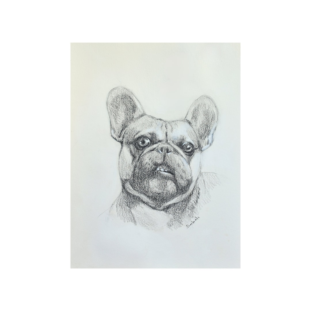 Original French Bulldog Graphite Drawing Frenchie Art, Pet Portrait ...