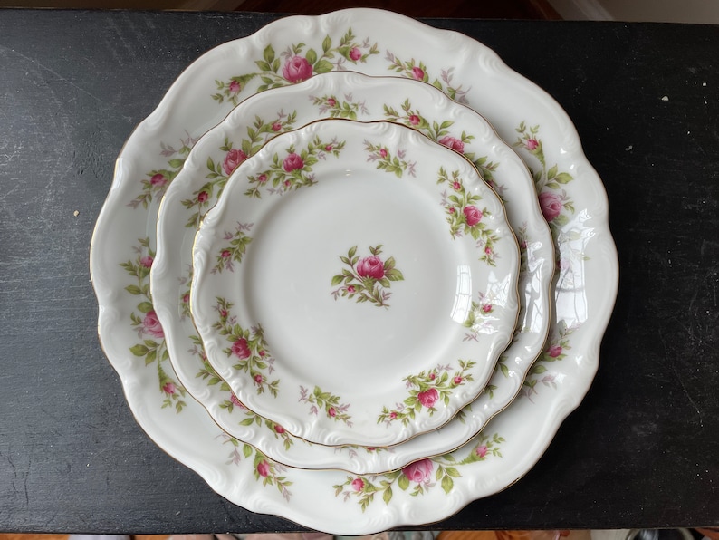 Johann Haviland Moss Rose Fine China Stamped Bavaria Germany - Etsy