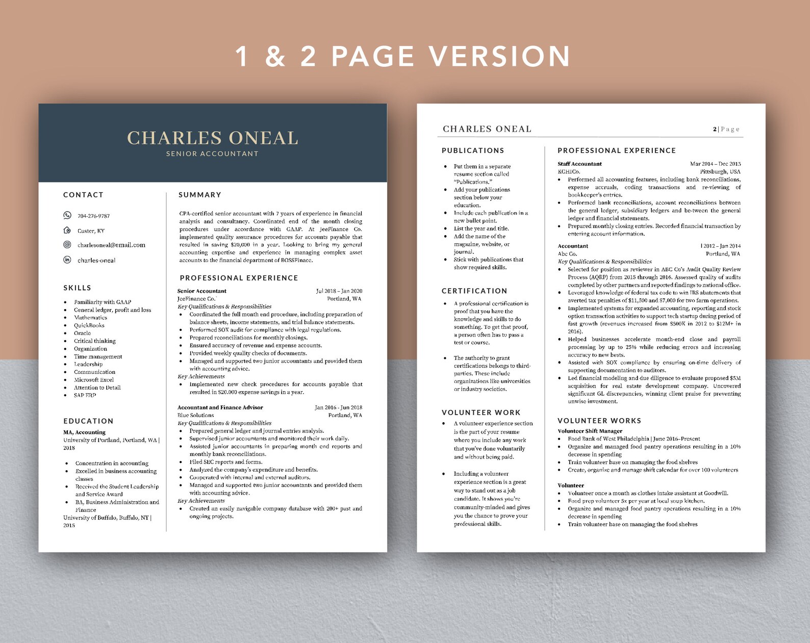 Modern Executive Resume Template Word & Mac Pages, Accountant Resume ...