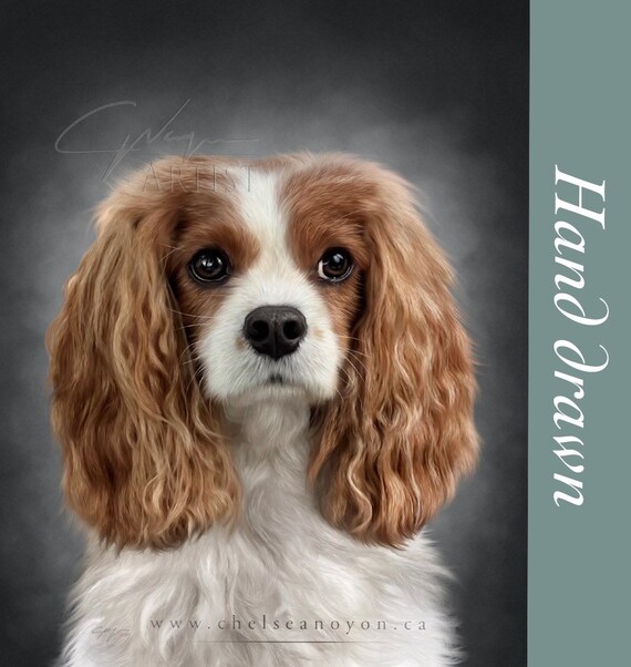 CUSTOM Pet Drawing Hand Drawn Realistic Digital Pastel - Etsy