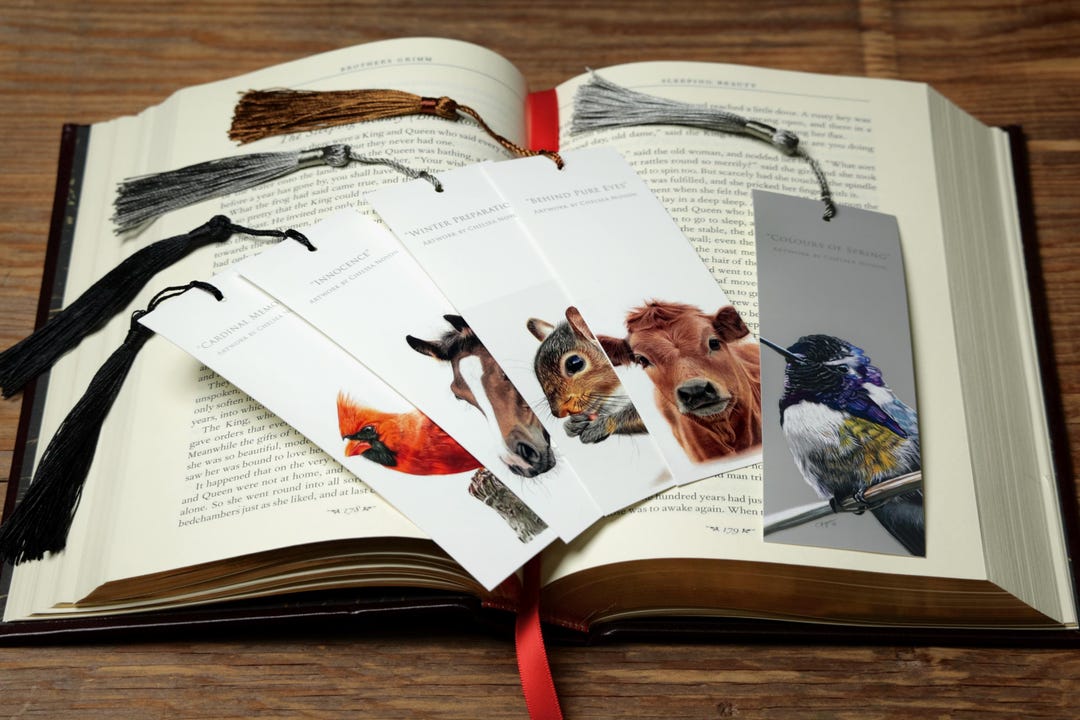 Bookmarks Set of 5 or 10 of Original Pencil Drawings, Equine Art ...