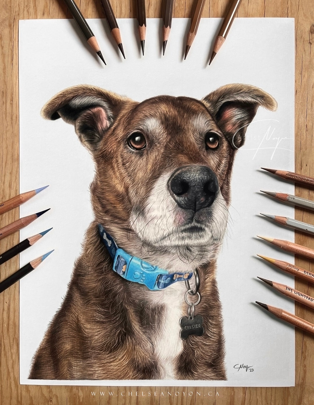 Custom Pet Colored Pencil Portrait, Dog Cat Bird Art, Coloured Drawings ...