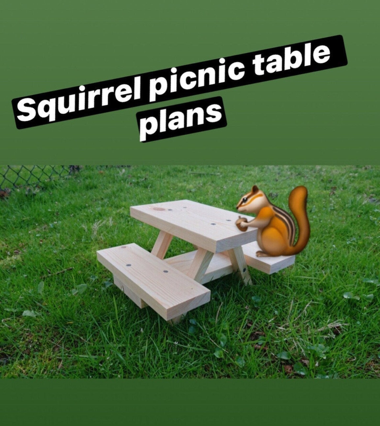 Squirrel Picnic Table Plans / Blueprints / Instructions - Etsy